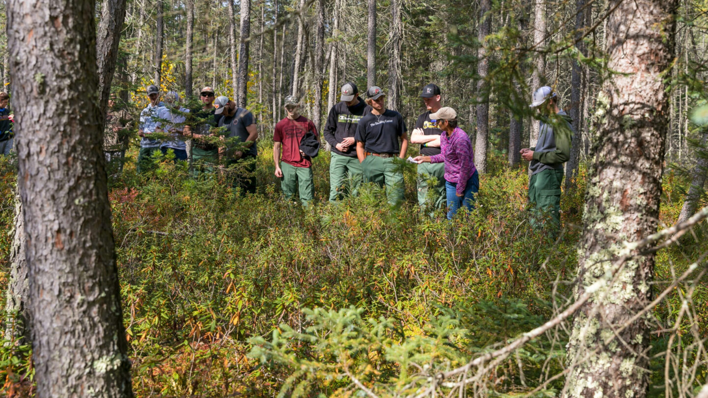 Environmental Studies - Minnesota North College