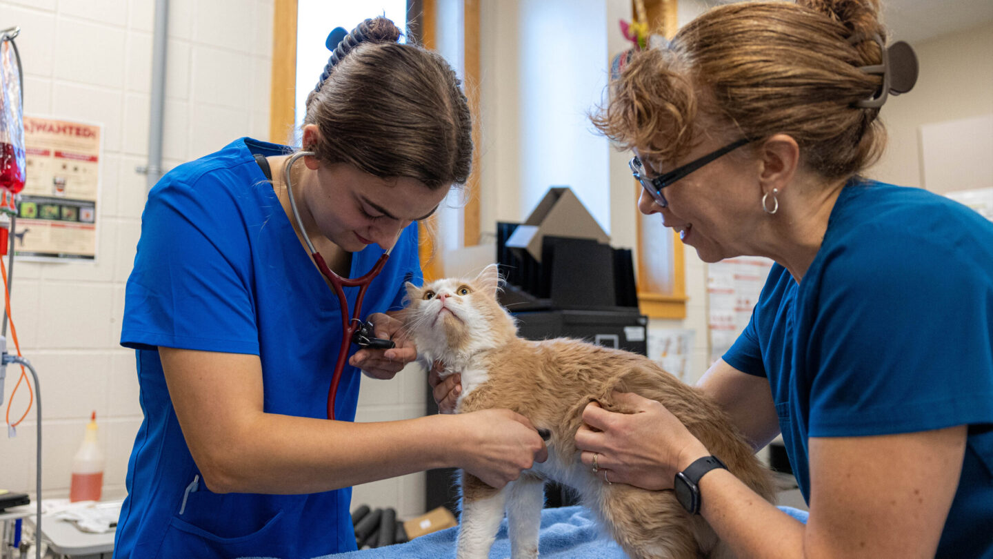 Veterinary Technician - Minnesota North College